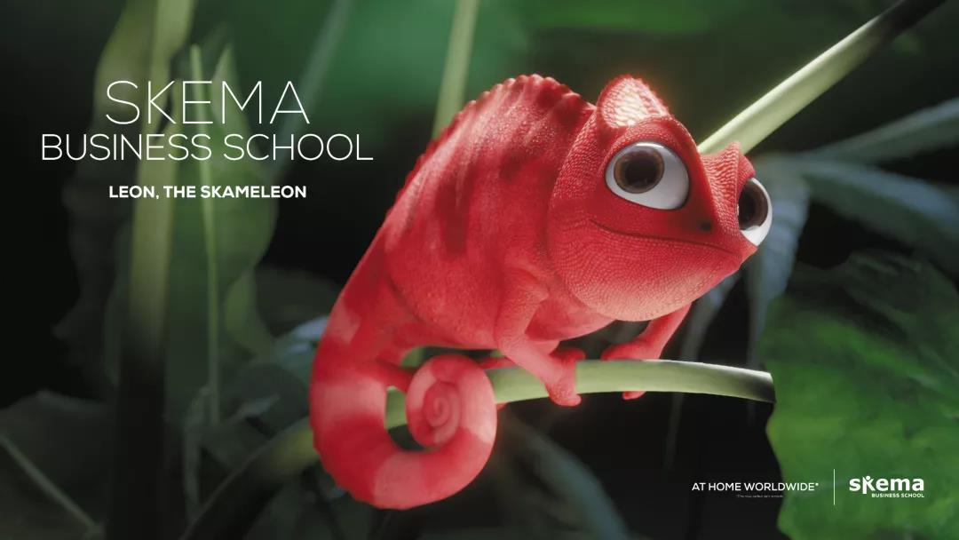 学校介绍|你真的了解SKEMA吗？ - 知乎