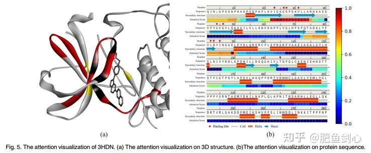 论文笔记5|AttentionDTA Drug–Target Binding Affinity Prediction by Sequence-Based Deep Learning ...