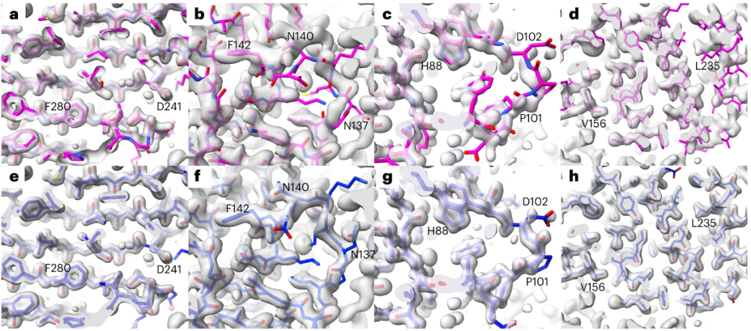 Nat Methods｜AlphaFold预测是有价值的假设，可以加速但不能取代实验结构测定 - 知乎