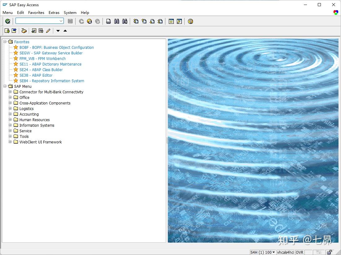 思爱普（SAP）真难之GUI主题设置 - 知乎