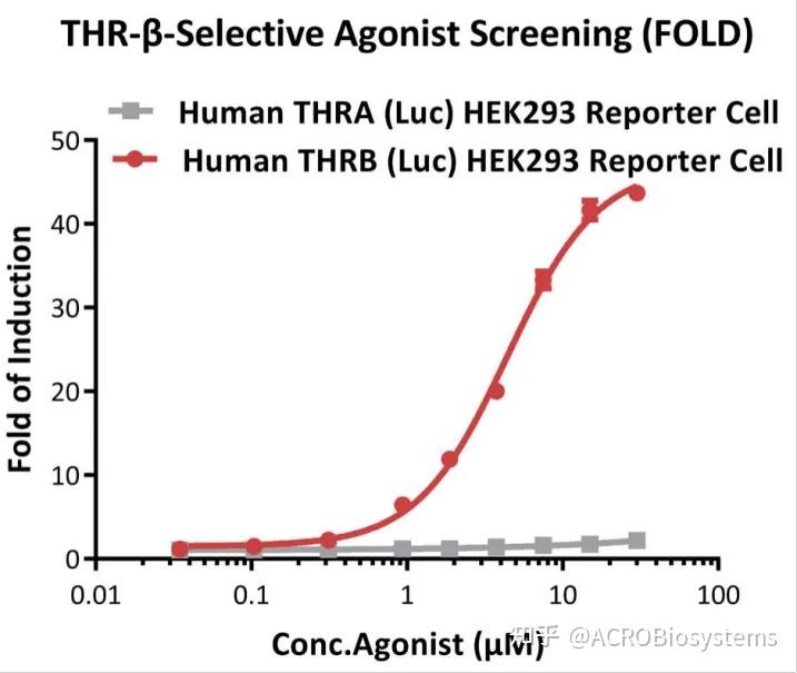 THRB, THRA报告基因细胞株：助力蓝海疾病MASH激动剂开发 - 知乎