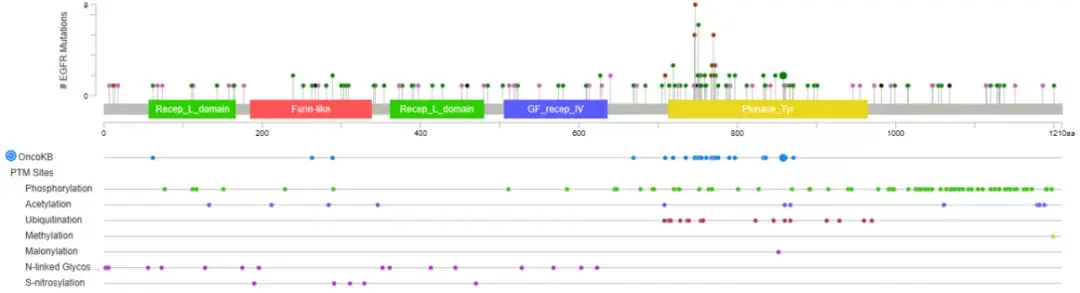 关于TMB，史上最硬核科普在这里 - 知乎