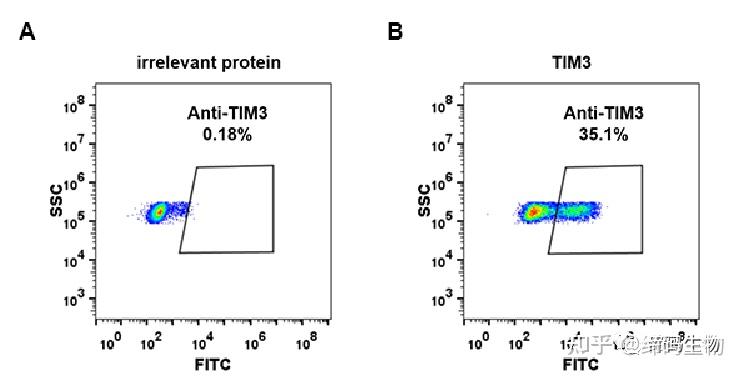 肿瘤免疫靶点 | TIM-3 - 知乎