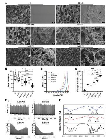 南方医科大学王乐禹教授和邱小忠教授在Advanced Functional Materials上发表重要文章：一种通过功能性血管吻合和电整合 ...