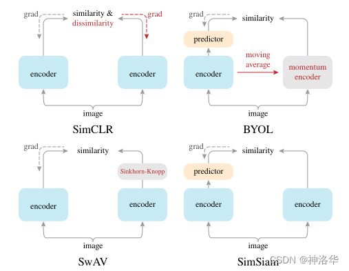 李沐论文精读系列三：MoCo、对比学习综述（MoCov1/v2/v3、SimCLR v1/v2、DINO等） - 知乎