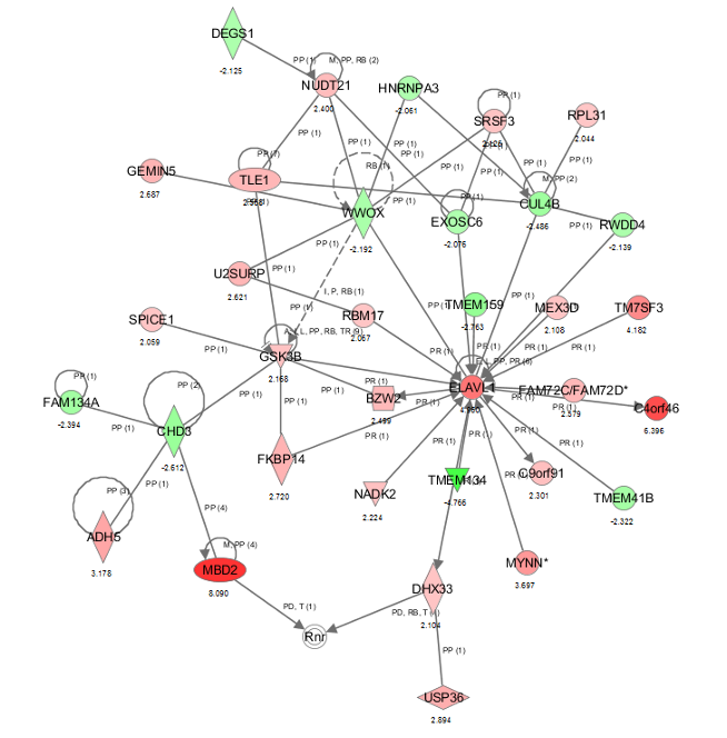 一文解锁机制研究神器——IPA分析！ - 知乎