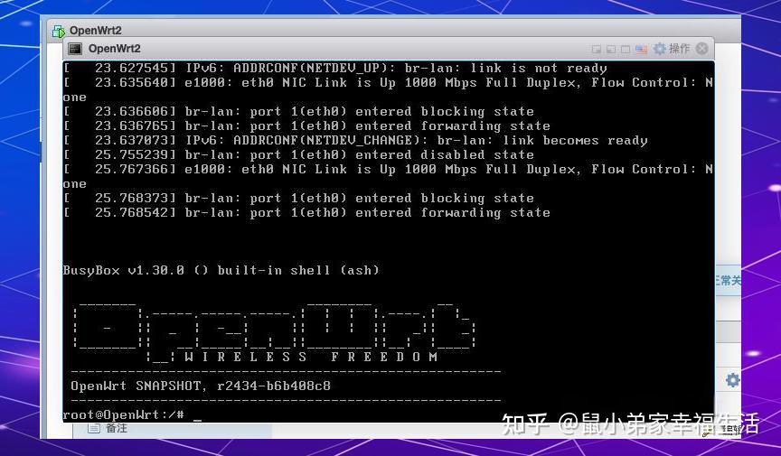 【使用教程】Vmware-EXSI下的OpenWrt虚拟机的安装与旁路由配置详细指南 - 知乎