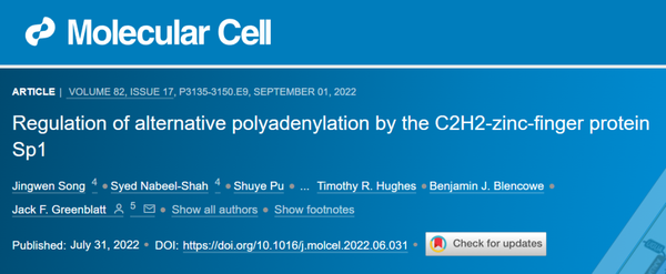 Molecular Cell：Sp1的双重生命，一种蛋白质的新作用颠覆了人们对其对癌症影响的思考 - 知乎