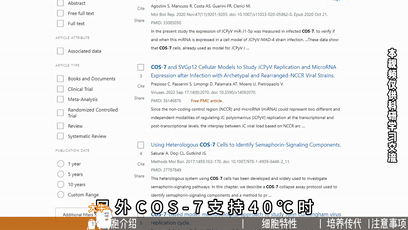 COS-7细胞培养，SV40转化的非洲绿猴肾细胞培养攻略 - 丰晖生物 - 知乎
