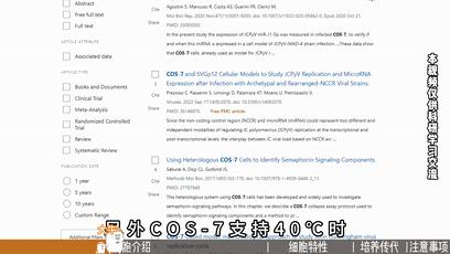 COS-7细胞培养，SV40转化的非洲绿猴肾细胞培养攻略 - 丰晖生物 - 知乎