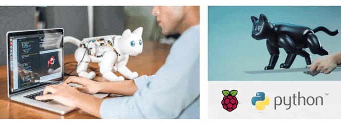 MarsCat仿生猫：你独特的宠物伴侣 - 知乎