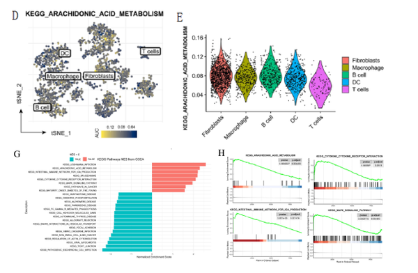6分+纯生信！bulk RNA-seq和单细胞联合分析，外加代谢新切入点“花生四烯酸代谢”！助力发文的巧妙思路，值得借鉴~ - 知乎