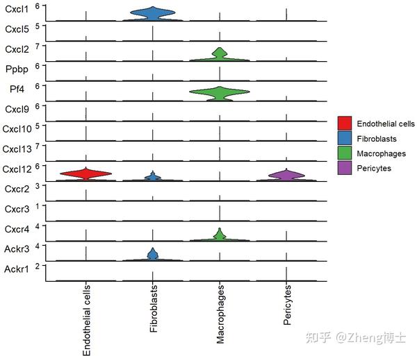 细胞通讯分析（单细胞测序）———CellChat（Homo、Mus） - 知乎