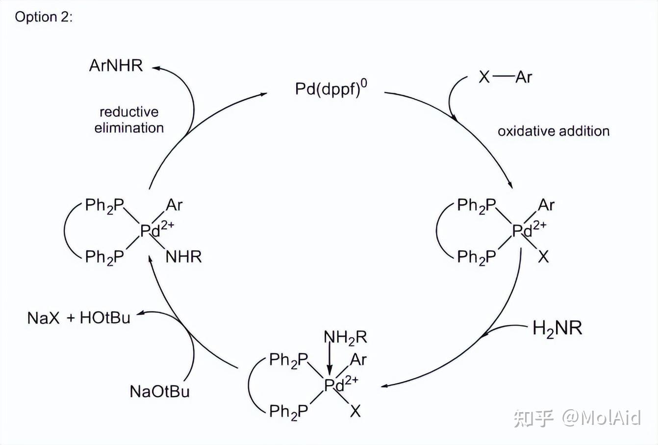有机人名反应——Buchwald–Hartwig Cross Coupling - 知乎