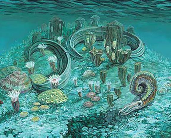 “Rudist”固着蛤的演化史，最伟大的双壳类 - 知乎