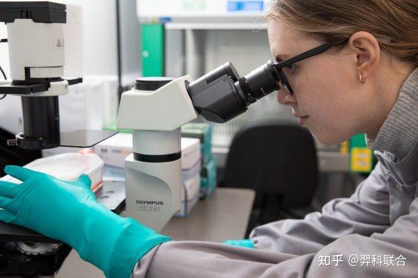 ISO 21702-2019塑料和其他无孔表面抗病毒活性测试 - 知乎