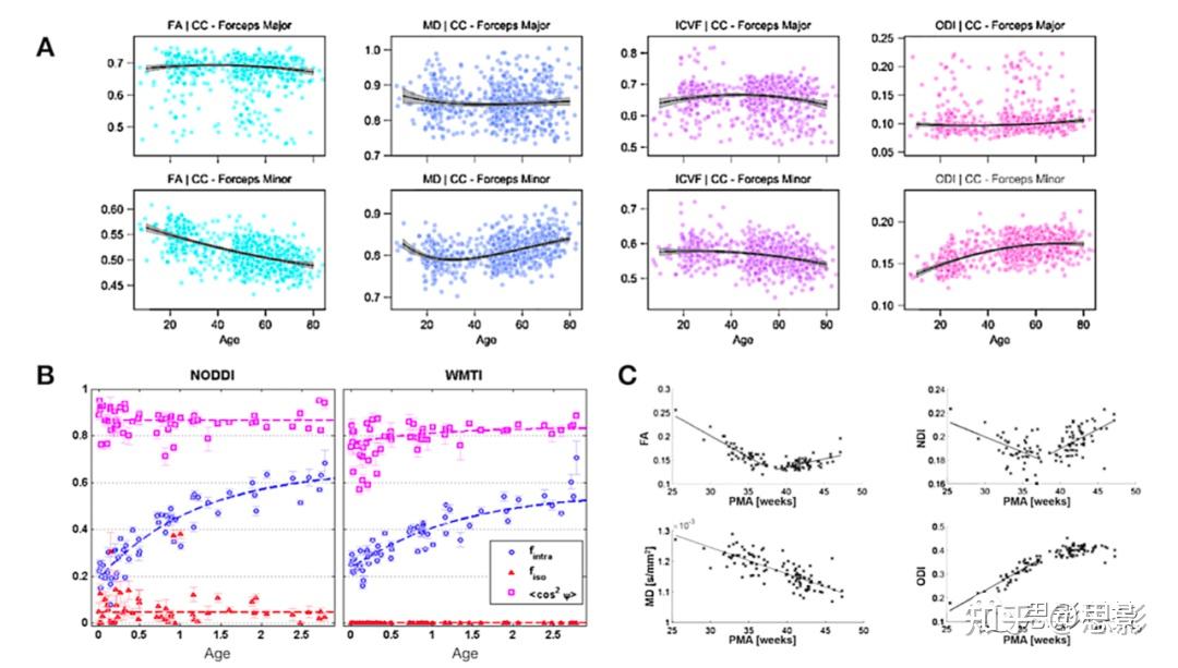 NODDI在临床研究中的应用 - 知乎