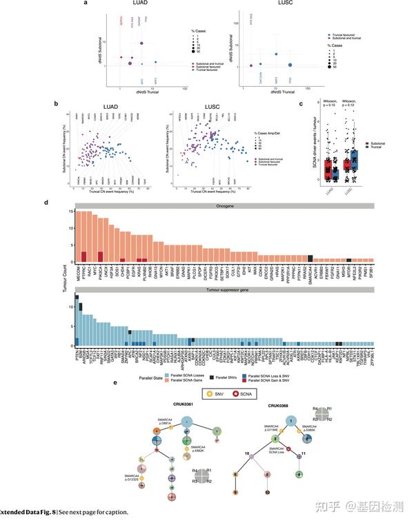 肺癌的进化及TRACERx亚克隆选择的影响 - 知乎
