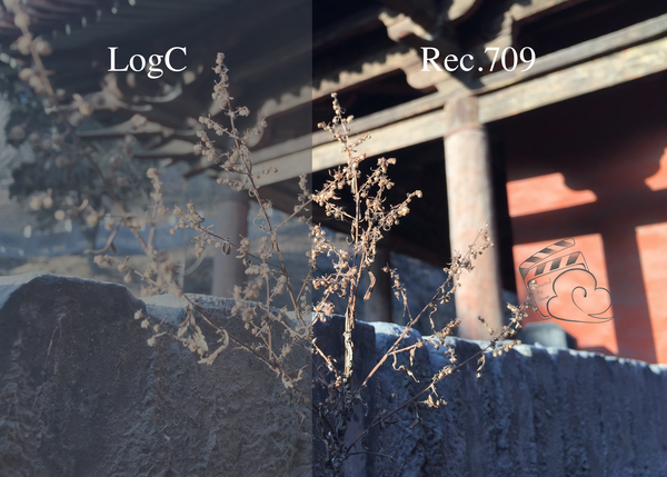 调色名词浅析——相机的 Log 模式 - 知乎