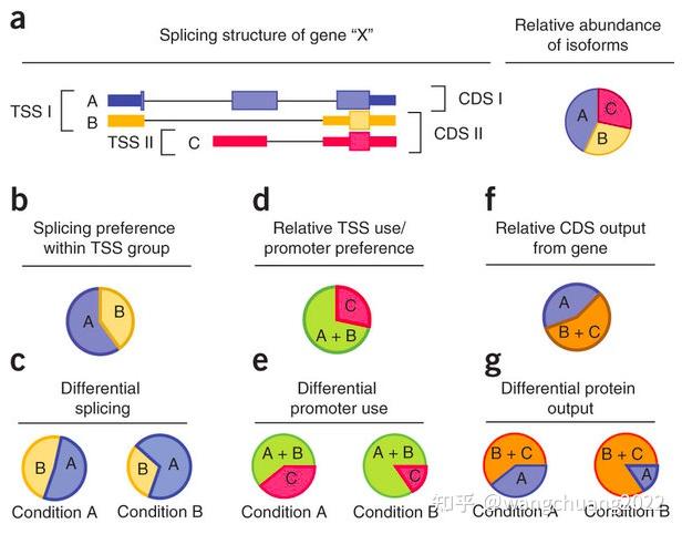 Differential gene and transcript expression analysis of RNA-seq ...