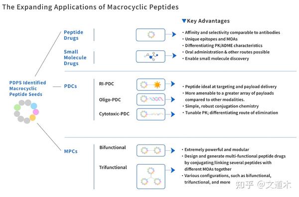 PeptiDream-mRNA展示（2） - 知乎