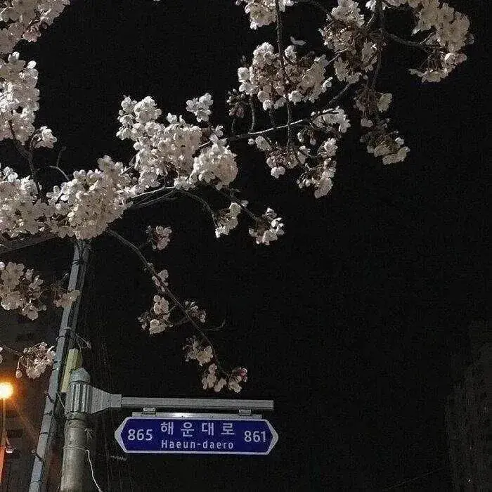 192张比较好看的QQ背景图 - 知乎