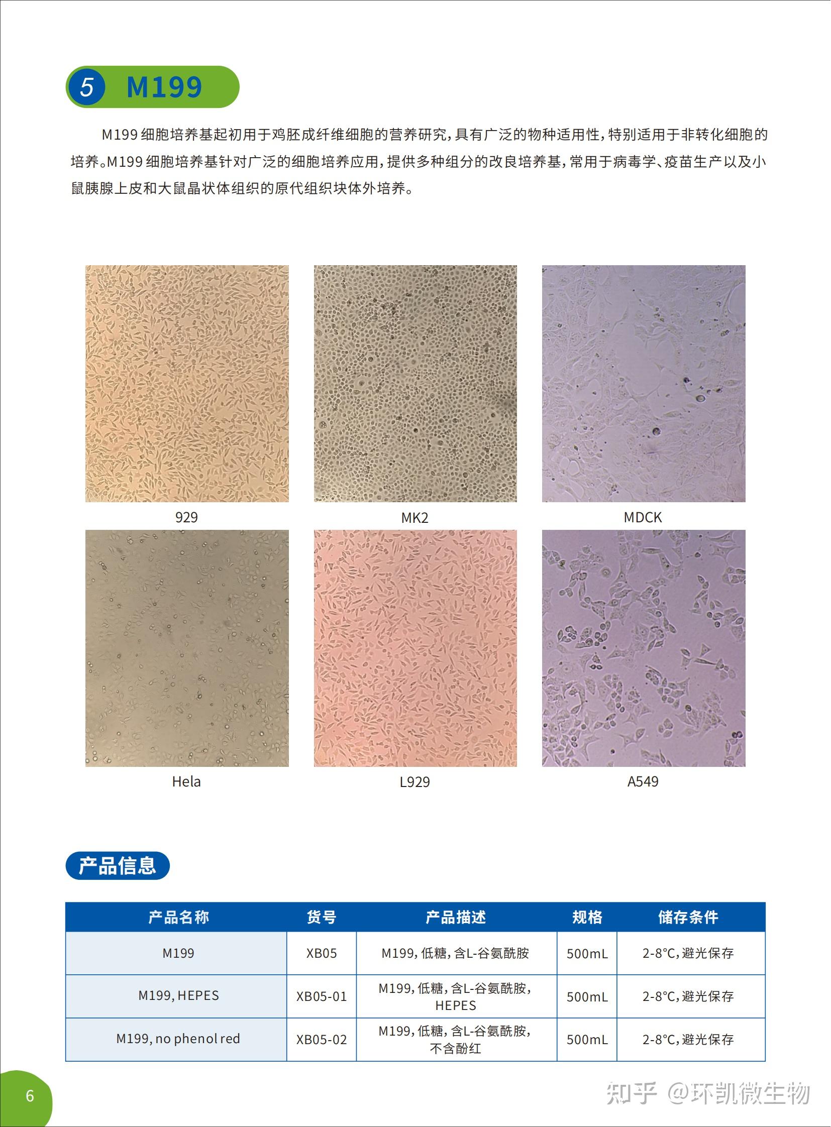 详细！各类细胞培养基特征和区别 - 知乎