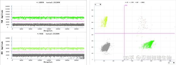 Biorain博瑞生物丨关注SMA，让爱不罕见 - 知乎