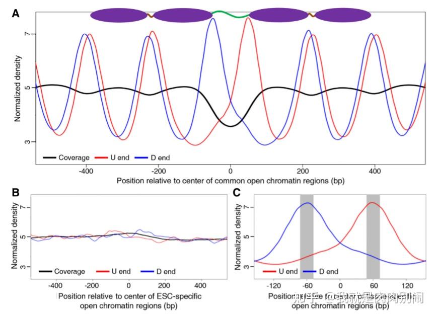 cfDNA组织溯源——OCF（定向感知cfDNA片段化）分析 - 知乎