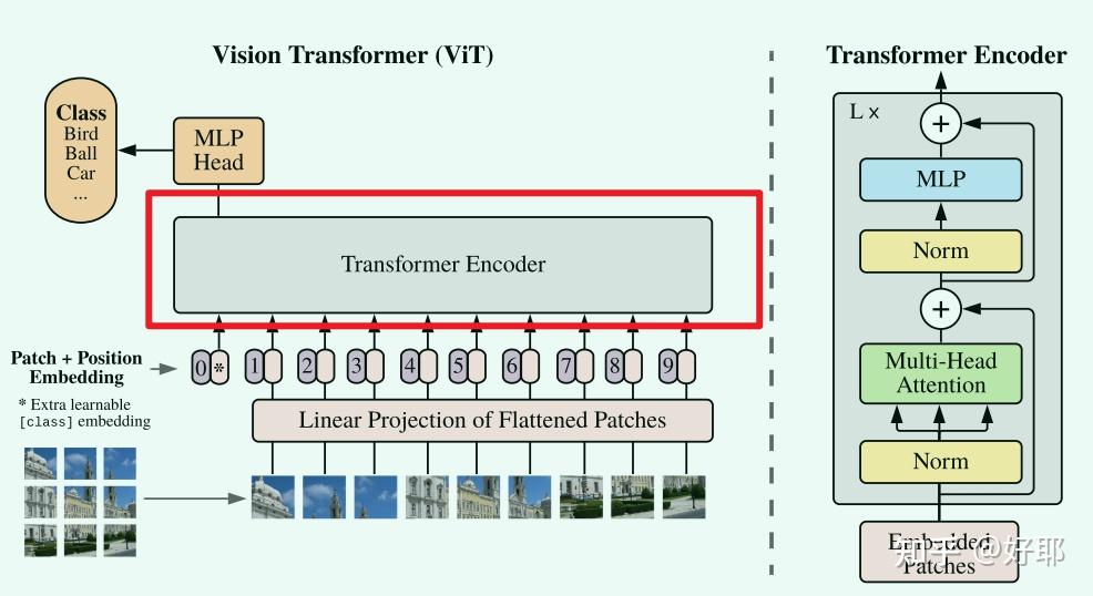 ViT 微调时position embedding如何插值（interpolate）【源码解析】 - 知乎