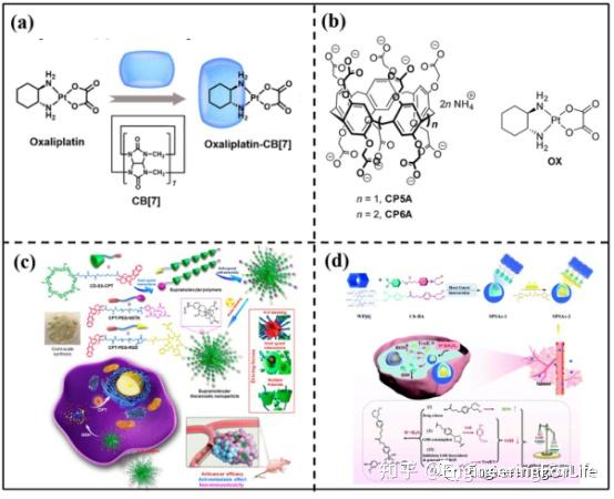 《AHM》综述：药物自给药系统--分子设计、构建策略及生物应用 - 知乎