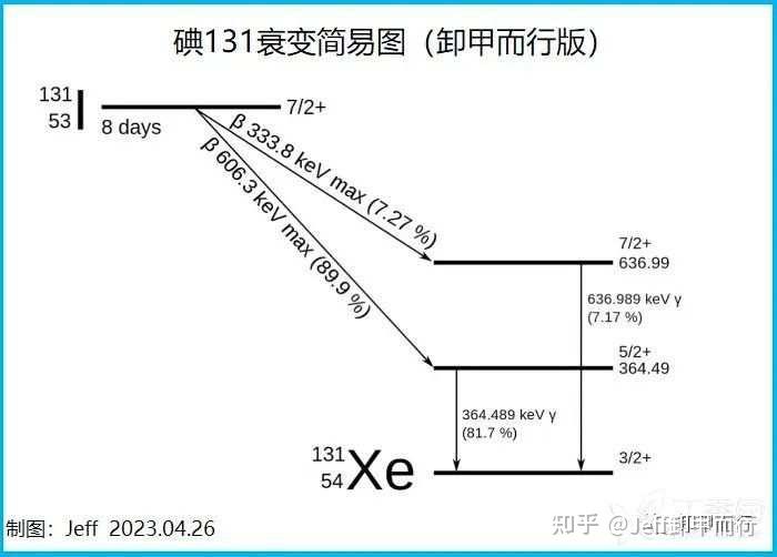 13-08：碘131的衰变与辐射（β、γ射线），甲状腺癌的治疗原理 - 知乎