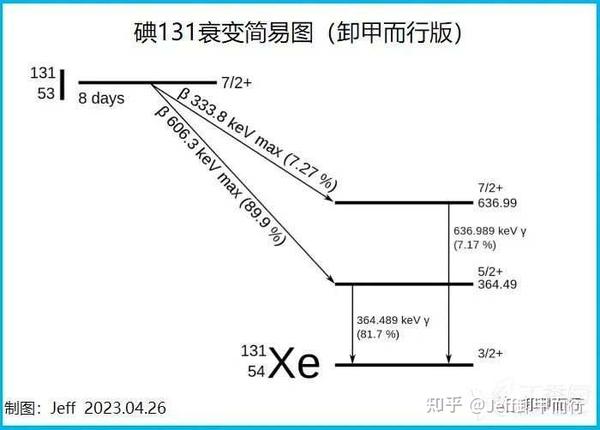 13-08：碘131的衰变与辐射（β、γ射线），甲状腺癌的治疗原理 - 知乎