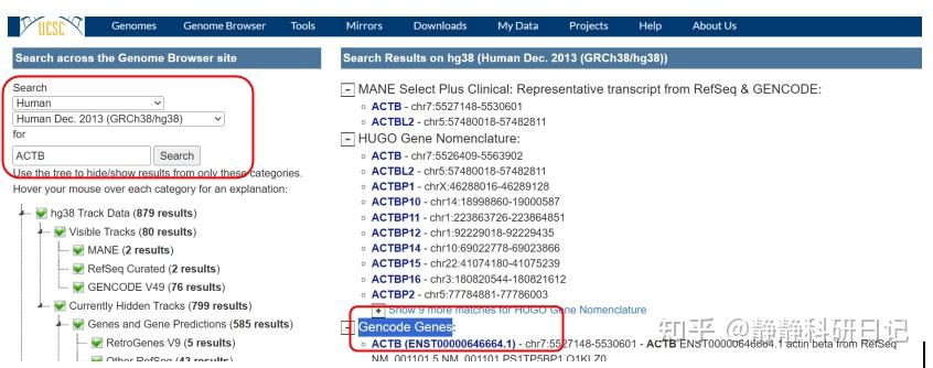 太简单了！利用UCSC 一次获取基因的启动子、5’UTR，3’UTR，CDS区！ - 知乎