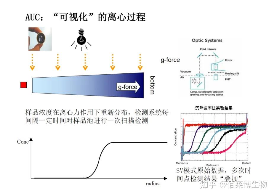 利用分析型超速离心技术（AUC）进行 AAV 病毒载体空壳率表征 - 知乎