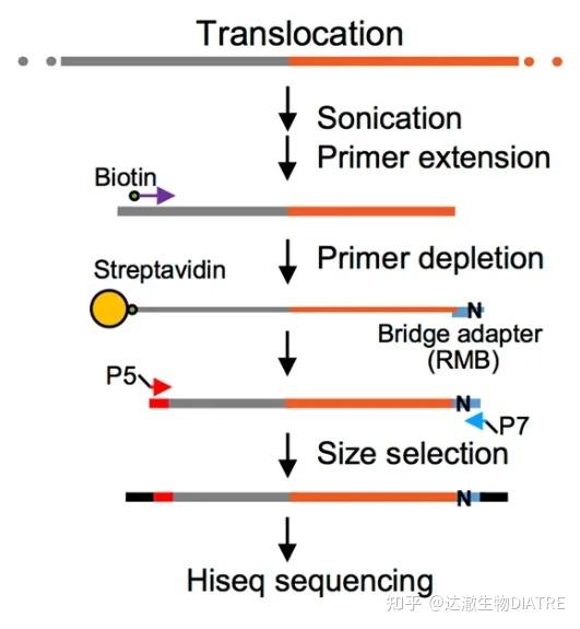 脱靶检测主流技术：GUIDE-seq、CIRCLE-seq、PEM-seq差异对比 - 知乎