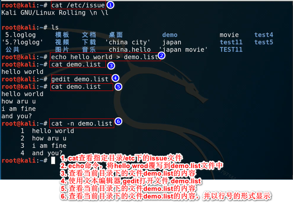 小白学Linux：如何学习与使用cat命令？ - 知乎