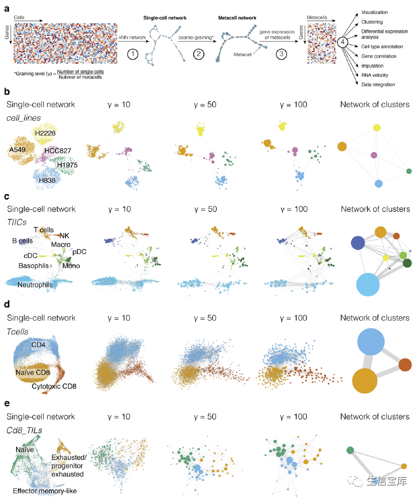 SuperCell：基于metacell理念提高单细胞数据的可信度 - 知乎