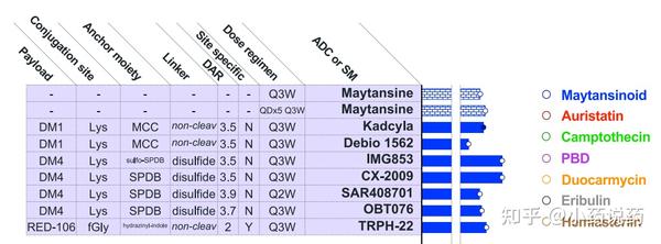 关于ADC治疗窗口的几个问题 - 知乎