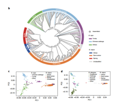 泛基因组(Pan-genome)研究思路与应用—作物篇 - 知乎