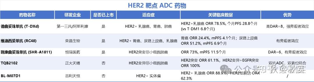 ADC药物全球分析 | HER2靶点 - 知乎