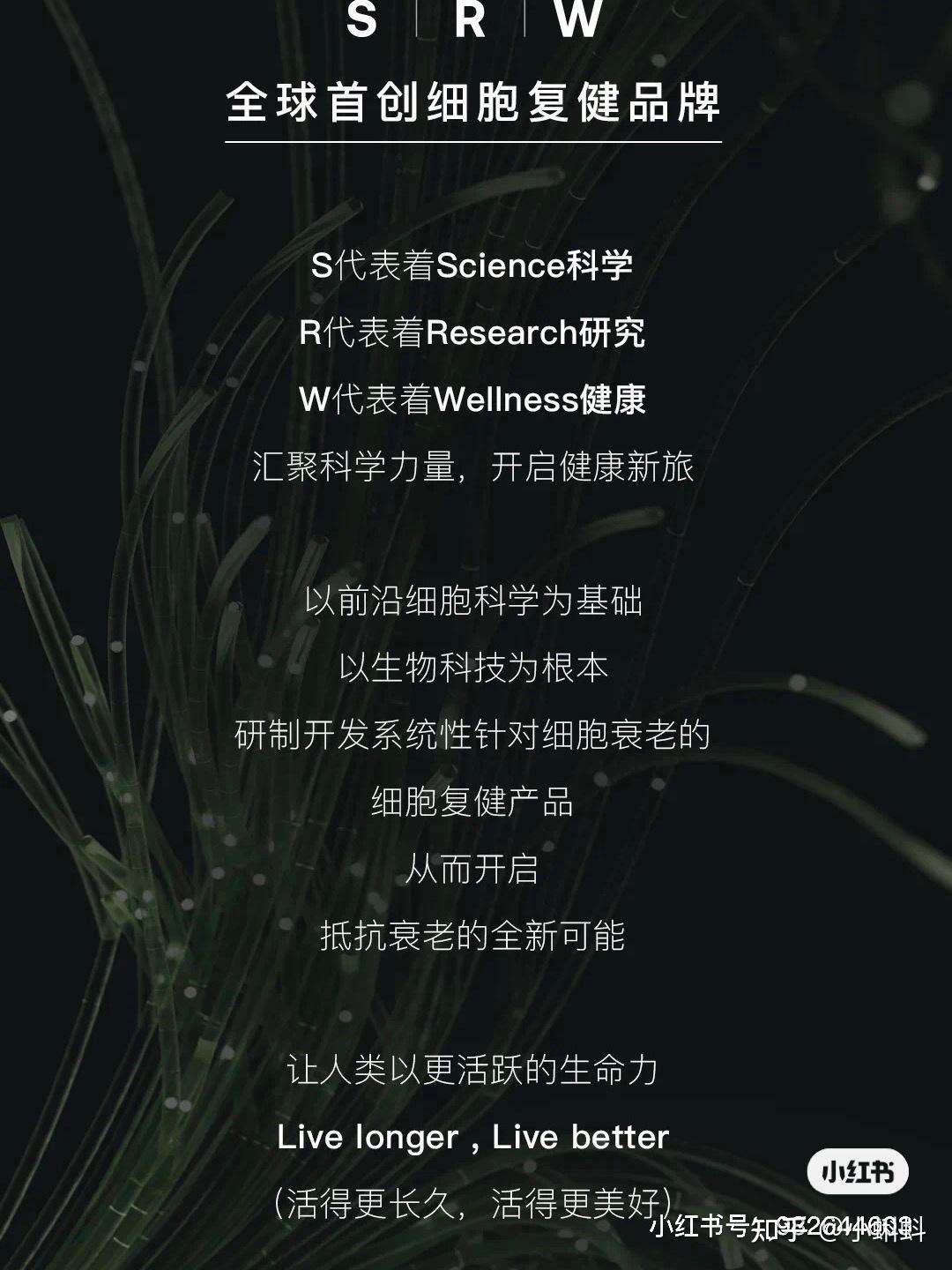 SRW汇聚时代的力量和科技的 - 知乎