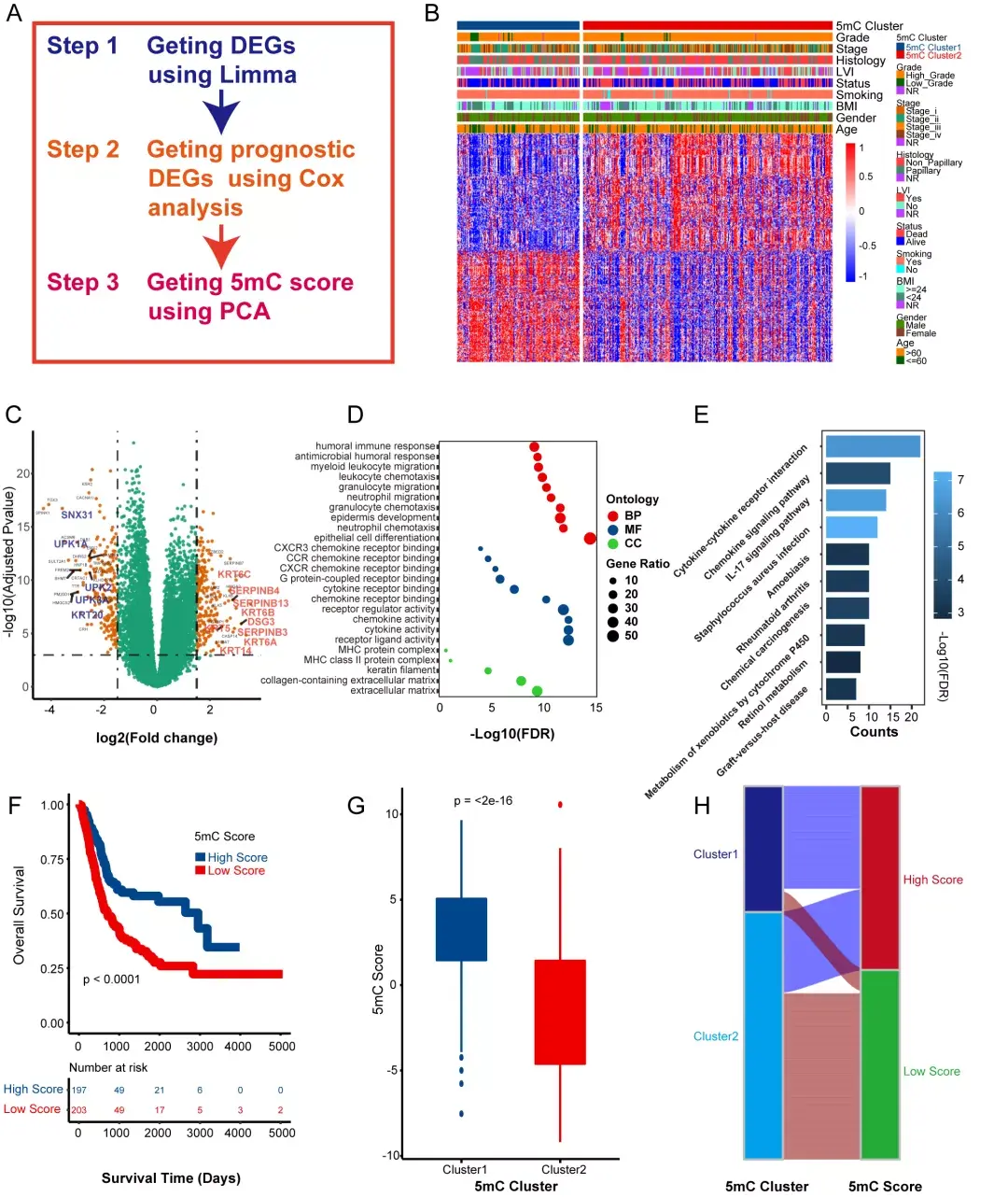 IF=8.775，m5C纯生信文章，下一个爆点？ - 知乎