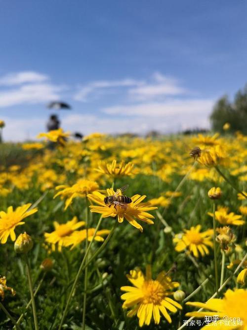 【Python】使用Python调用OpenSSL进行RSA密钥对生成 - 知乎