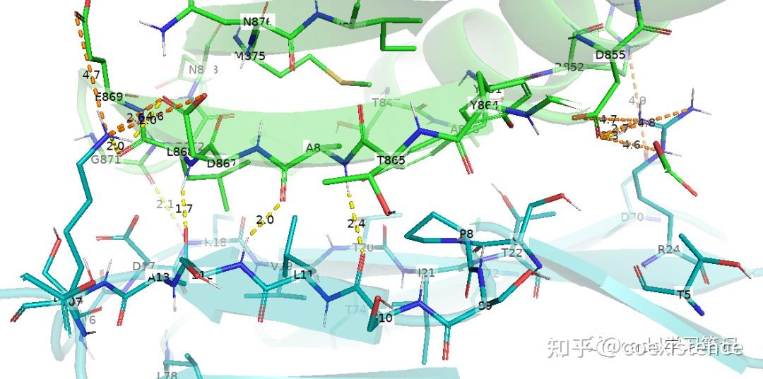 Pymol自动显示蛋白-蛋白相互作用 - 知乎
