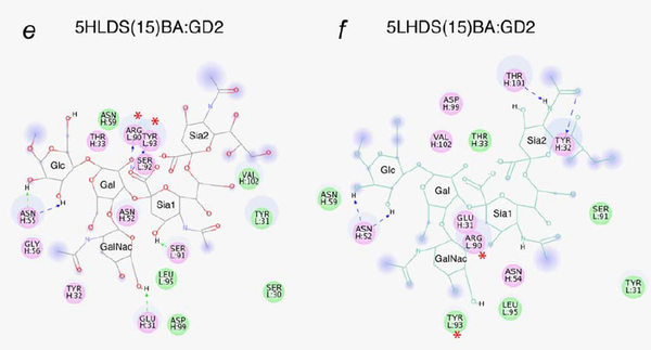 Discovery Studio应用案例-靶向GD2和CD3双特异性抗体的设计 - 知乎
