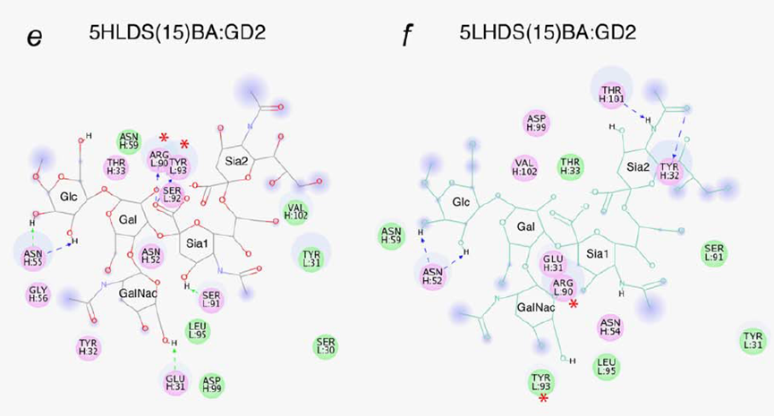 Discovery Studio应用案例-靶向GD2和CD3双特异性抗体的设计 - 知乎