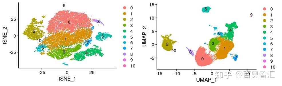 单细胞数据标准分析——快速、高效、专业化 - 知乎