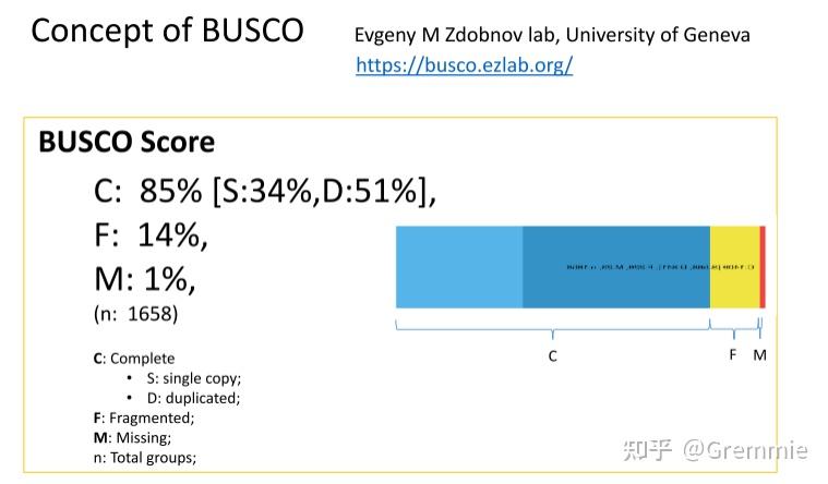从头全基因组组装De novo whole genome assembly - 知乎