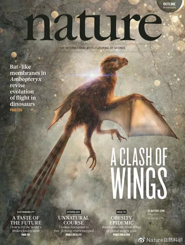 这些登上Nature封面的中国研究成果，你还记得吗？ - 知乎
